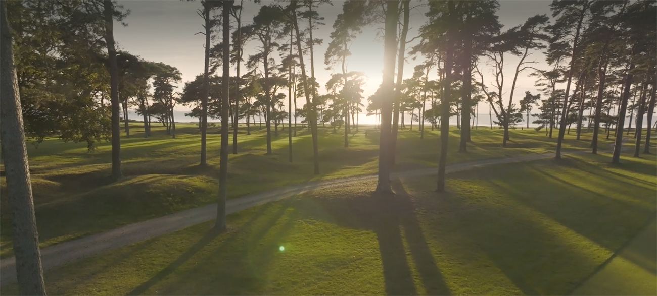 Barsebäck Resort | Partake Golf